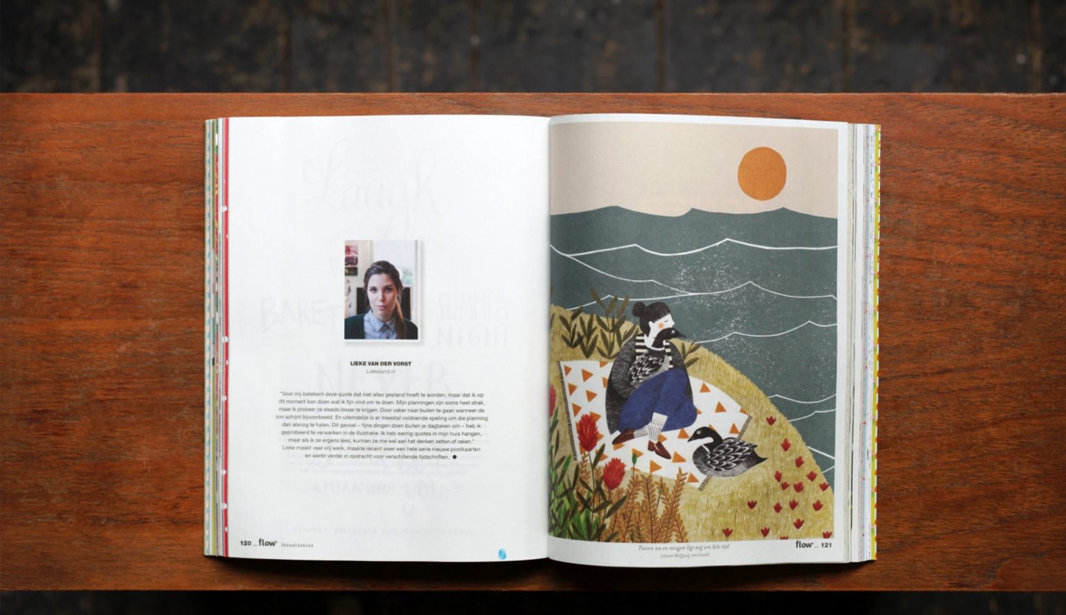 Vakantieboek Flow Magazine | 2014 - Liekeland